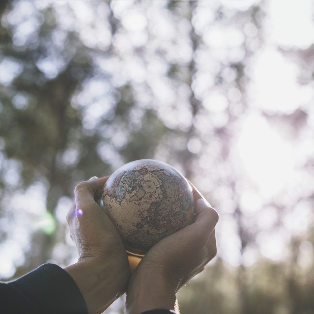 About SUNEL Group – The Green Alliance